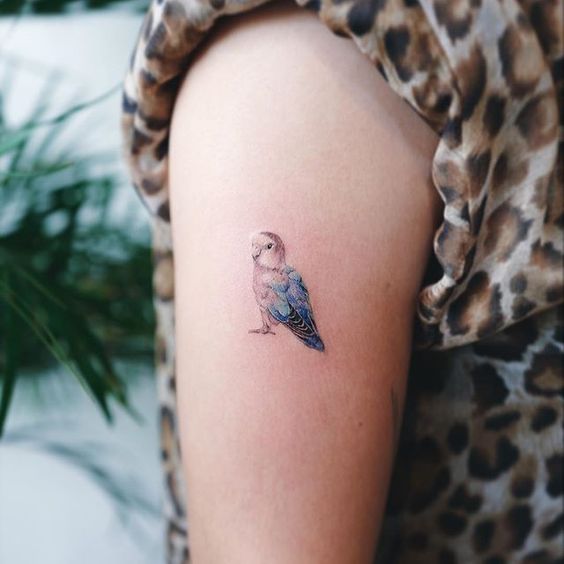 17 Small Pet Tattoo Ideas: Celebrating Your Furry Friends