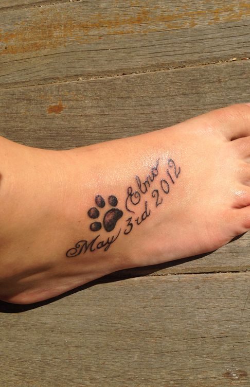 17 Small Pet Tattoo Ideas: Celebrating Your Furry Friends