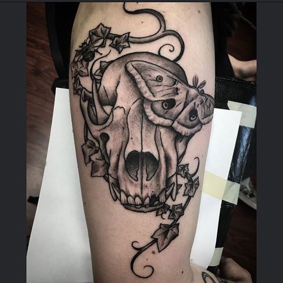 19 Cat Skull Tattoo Ideas: Embrace the Mystical and Macabre