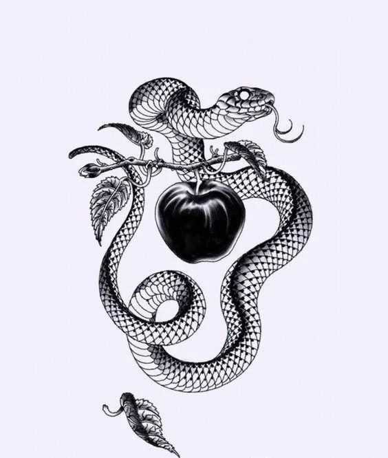 15 Captivating Snake Tattoo Sketch Ideas - Welcome to Fashion Maverick ...