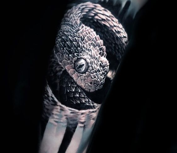17 Awe-Inspiring Viper Snake Tattoo Concepts: A Comprehensive Collection
