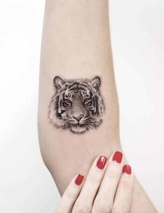 23 Traditional Tiger Tattoo Ideas: A Timeless Roar in Ink