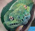 21 Snake Shoulder Tattoos Ideas for Bold Expressions - Welcome to ...
