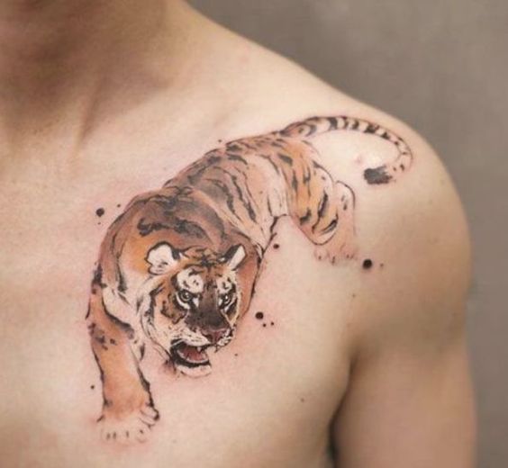 23 Traditional Tiger Tattoo Ideas: A Timeless Roar in Ink