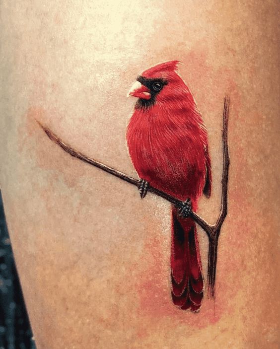 17 Red Cardinal Tattoo Ideas: Symbolism and Beauty in Ink