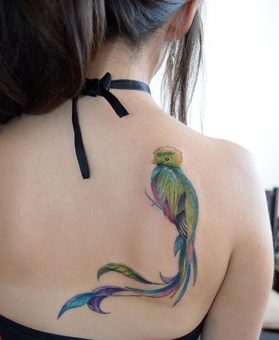 Explore 20 Captivating Quetzal Tattoo Designs for a Vibrant 2024 Ink ...