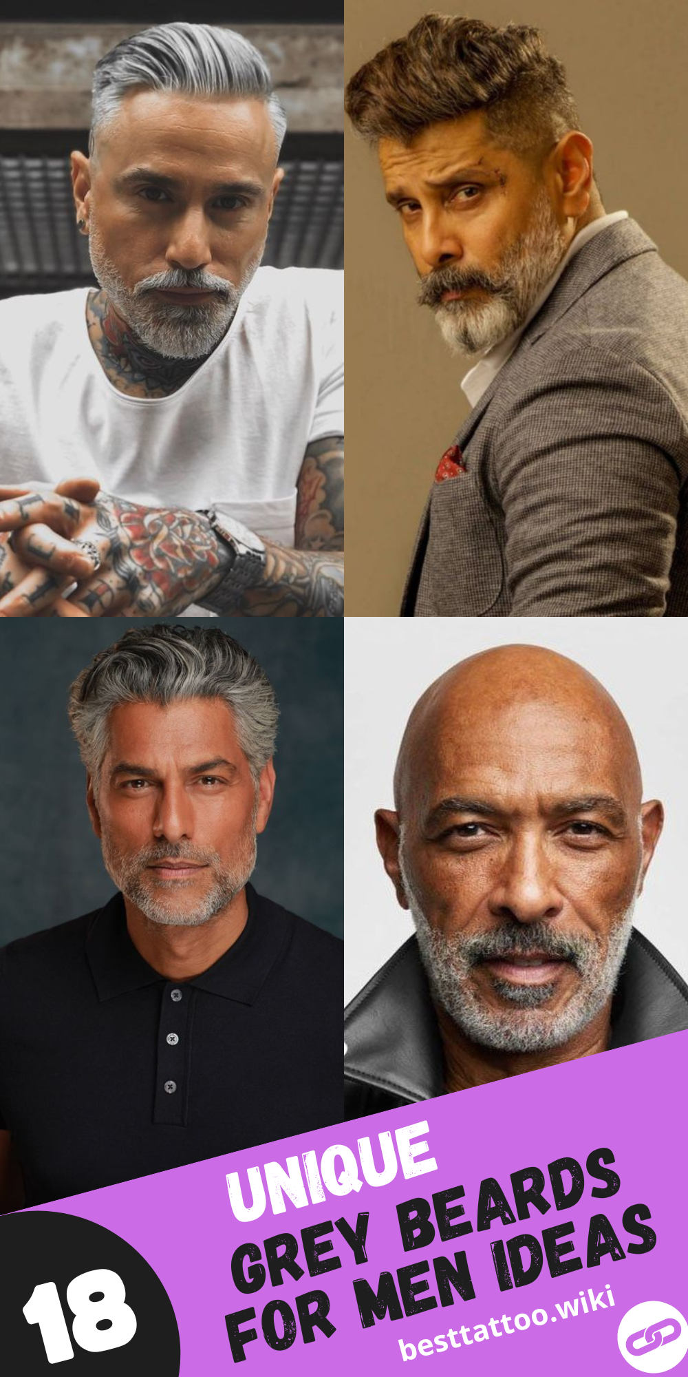 2024's Definitive Guide to 18 Grey Beards for Men: Style Elegance at ...