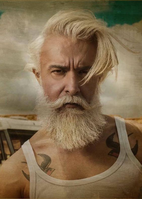 Explore Sophisticated Silver Fox Beards: 17 Top Styles for the Modern ...