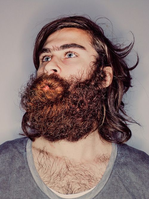 Discover Top Long Beard Styles of 2024 - Embrace Your Inner Style with ...