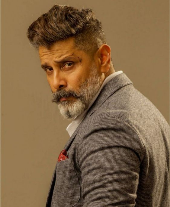 2024's Definitive Guide to 18 Grey Beards for Men: Style Elegance at ...