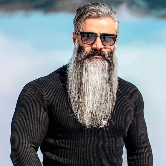 2024's Definitive Guide to 18 Grey Beards for Men: Style Elegance at ...