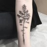 Discover 15 Stunning Aspen Tree Tattoo Ideas: Inspiring Designs for ...