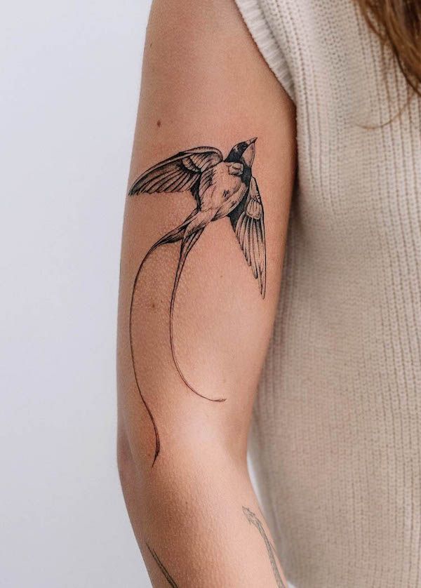 Swallow Tattoos 2024: Discover 20 Unique and Symbolic Designs for Men ...