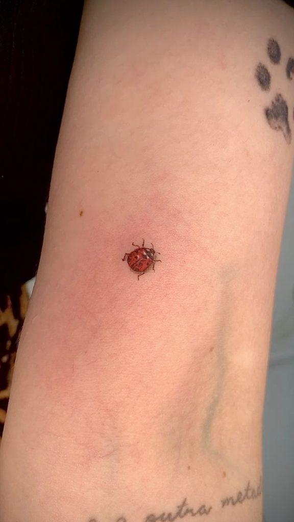 29 Ladybug Tattoo Ideas 2025 with Stencil Designs, Fine Line ...