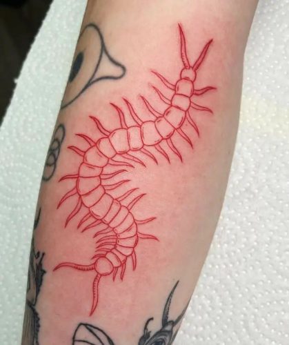 31 Centipede Tattoo Ideas 2025: Blackwork, Traditional, Tokyo Ghoul ...