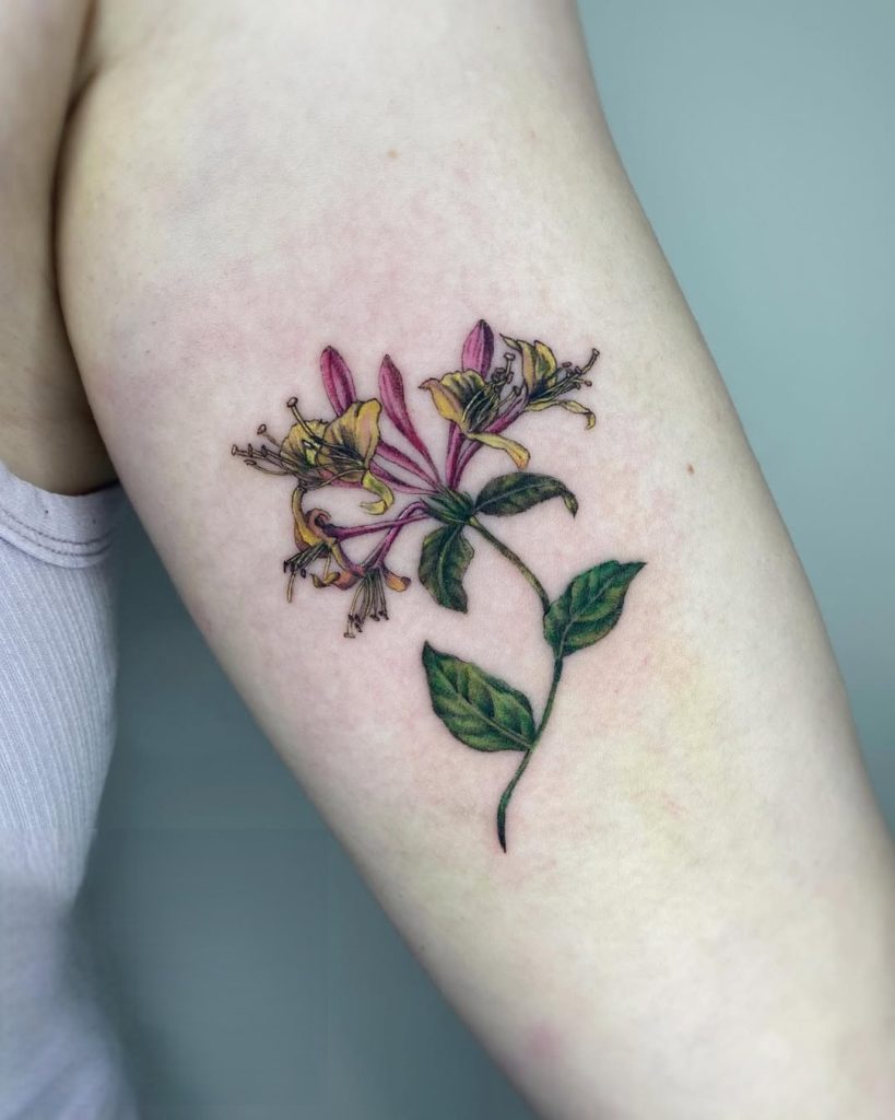 29 Honeysuckle Tattoo Ideas with Fine Line, Neo Traditional, Coral, and ...