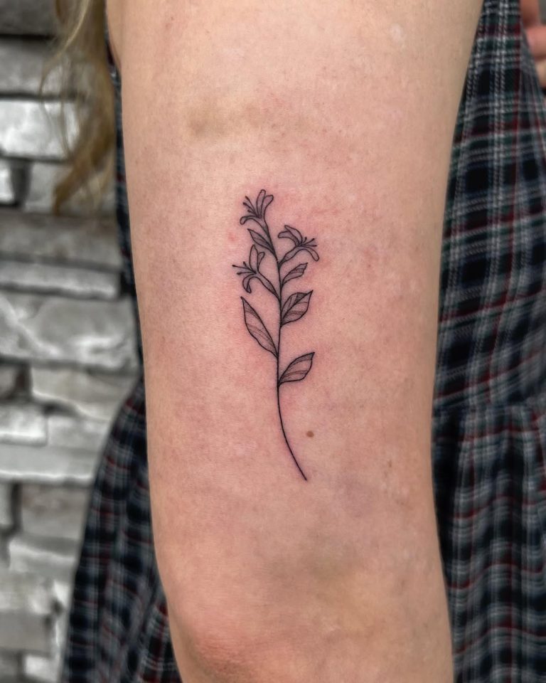 29 Honeysuckle Tattoo Ideas with Fine Line, Neo Traditional, Coral, and ...