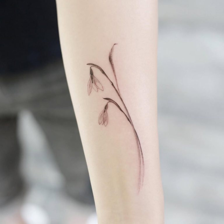 26 January Birth Flower Tattoo Ideas: Stunning Carnation and Snowdrop ...
