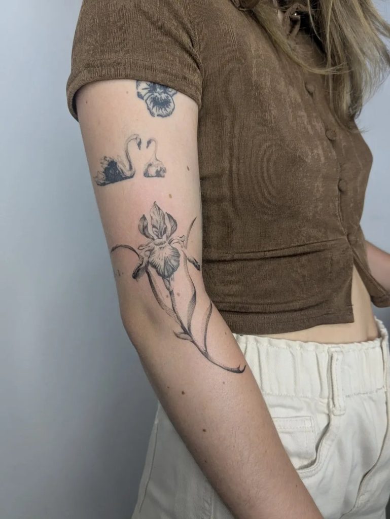 26 January Birth Flower Tattoo Ideas: Stunning Carnation and Snowdrop ...