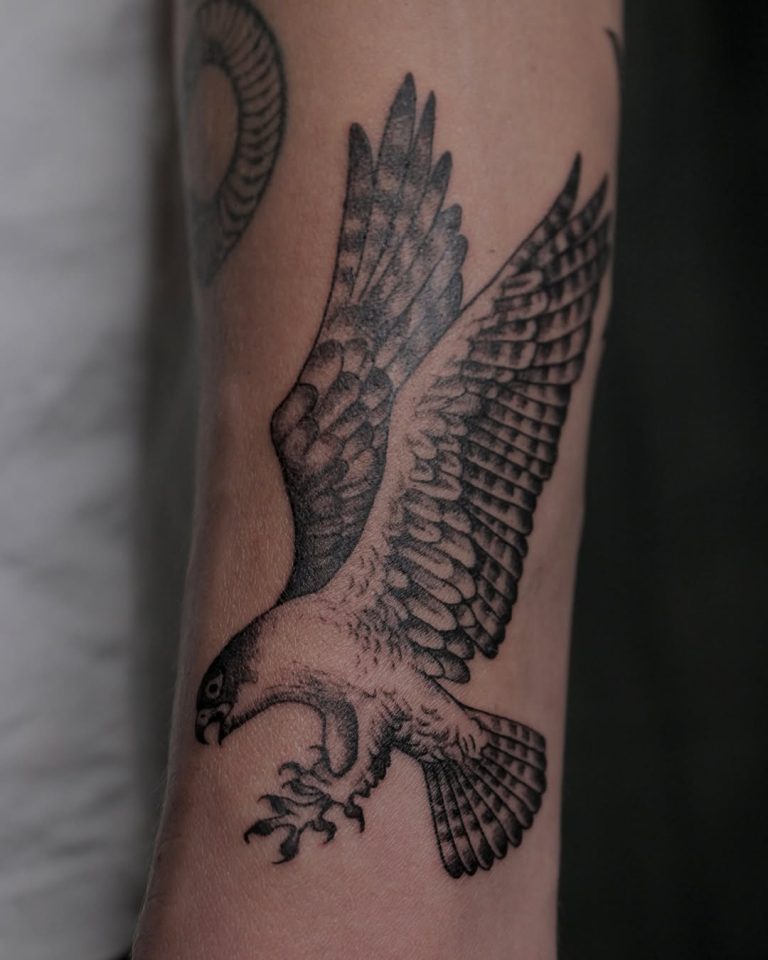 Hawk tattoo ideas for men and women: bold black, fine line and ...