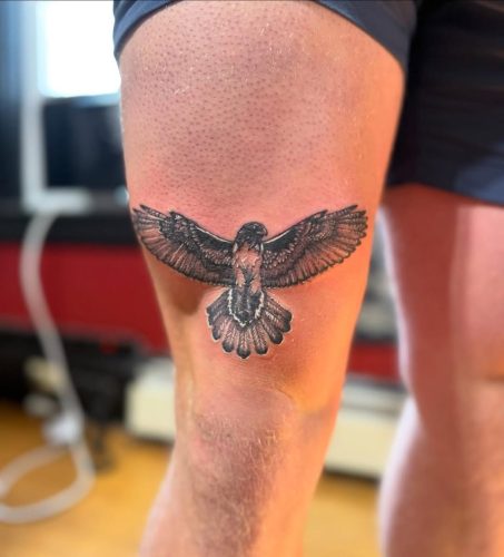 Hawk tattoo ideas for men and women: bold black, fine line and traditional red tailed designs sleeve
