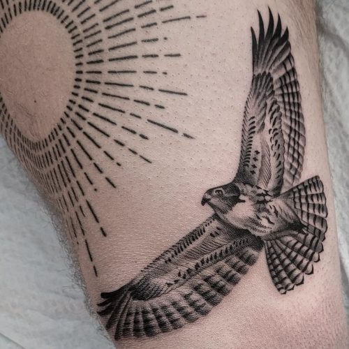 Hawk tattoo ideas for men and women: bold black, fine line and ...